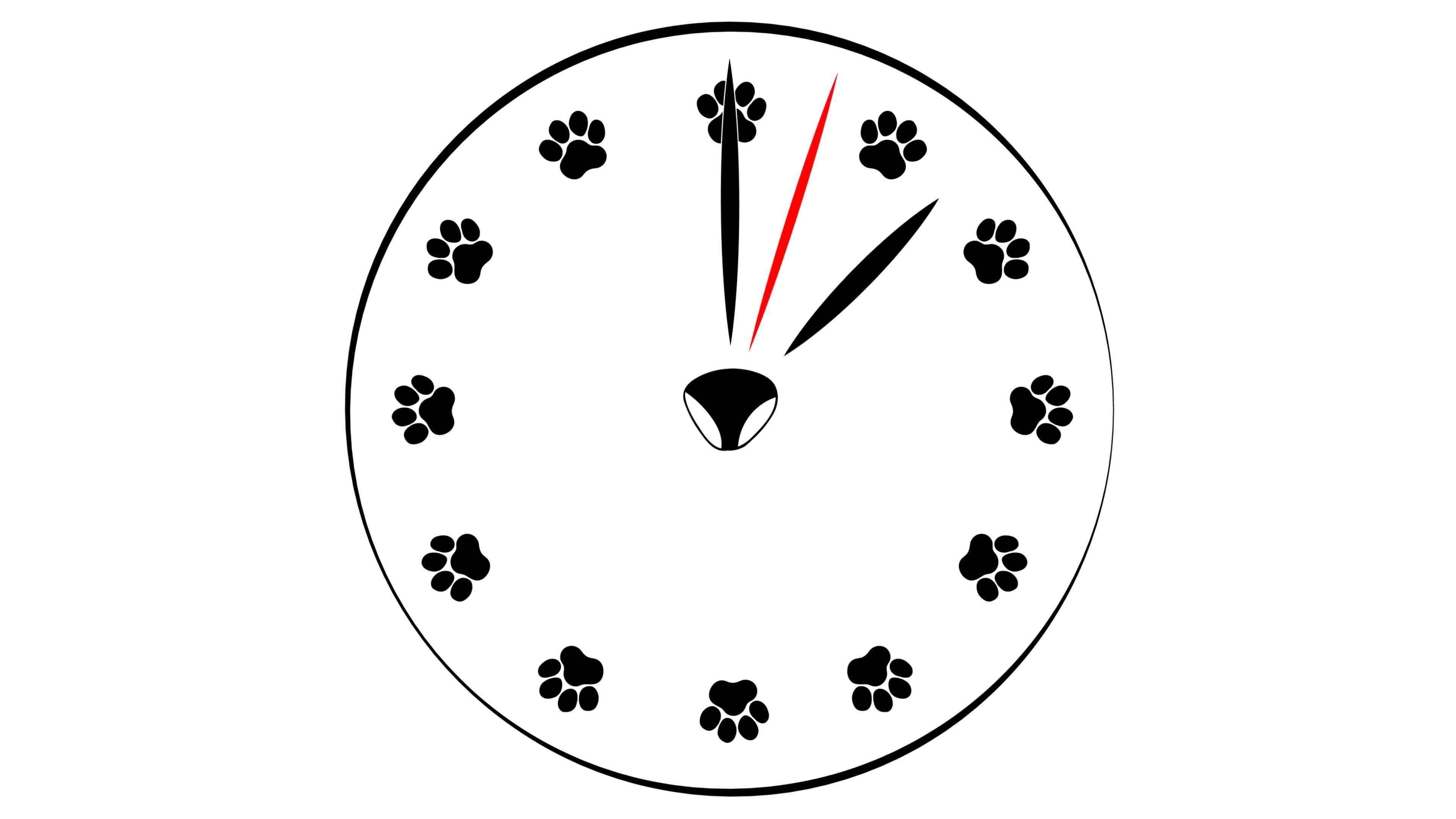 One minute. Clock face with paws prints instead of numbers. Dial made ... One minute. Clock face with paws prints instead of numbers. Dial made ...
