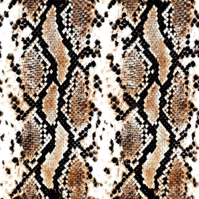 Snake Seamless Stock Photos, Images and Backgrounds for Free Download