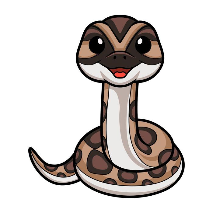 Page 3 | Ball Python Vector Art, Icons, and Graphics for Free Download