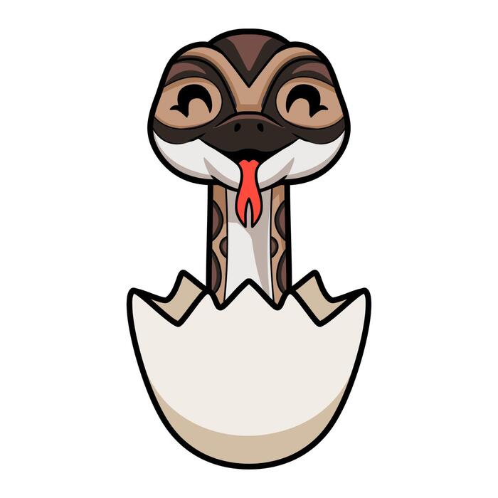 Page 19 | Python Vector Art, Icons, and Graphics for Free Download