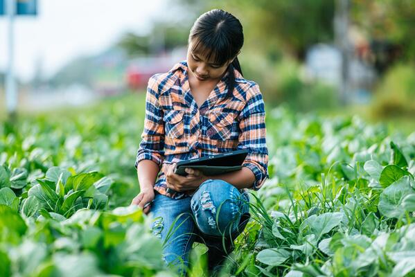 Digital Divide Challenges Stock Photos, Images and Backgrounds for Free ... Digital Divide Challenges Stock Photos, Images and Backgrounds for Free ...