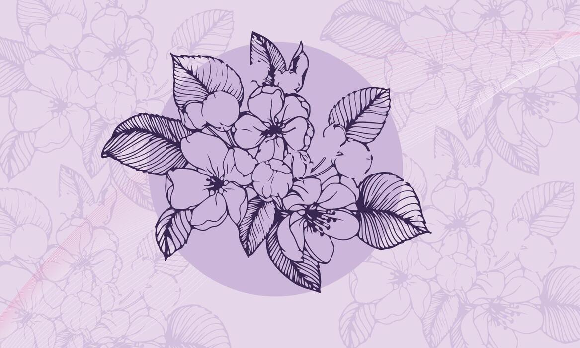 African Violet Vector Art, Icons, and Graphics for Free Download