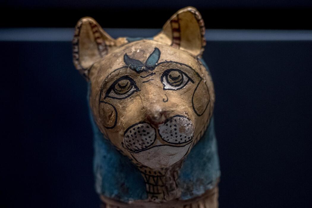 Egyptian Mummy Cat Stock Photos, Images and Backgrounds for Free Download