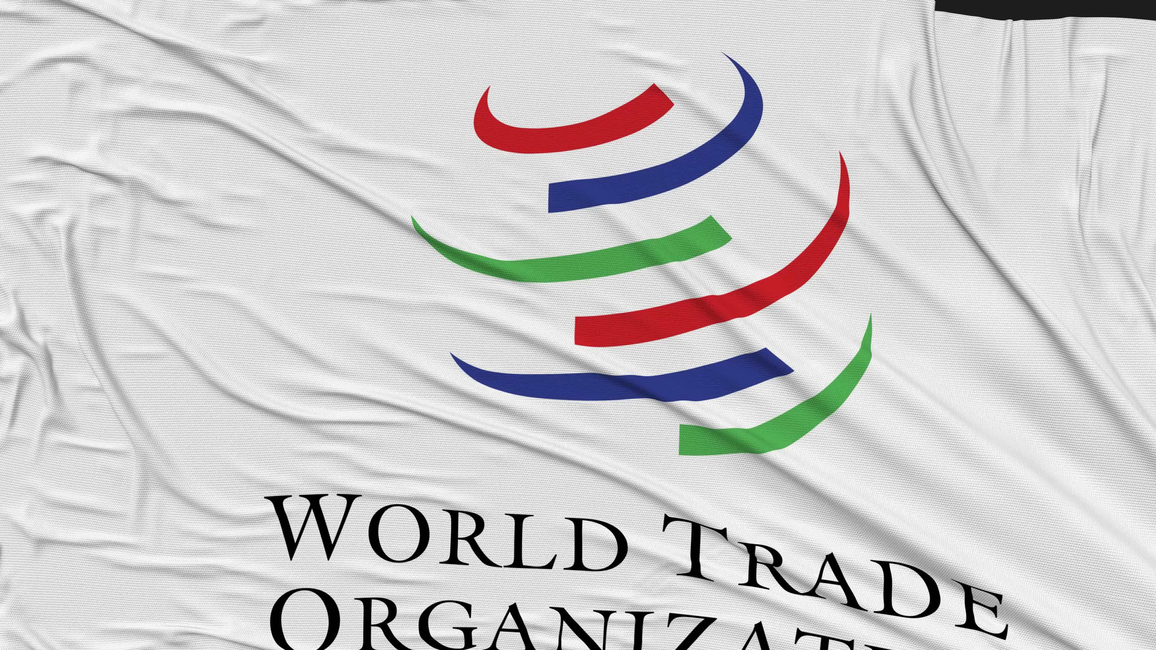 World Trade Organization, WTO Flag Cloth Removing From Screen, Intro ... World Trade Organization, WTO Flag Cloth Removing From Screen, Intro ...