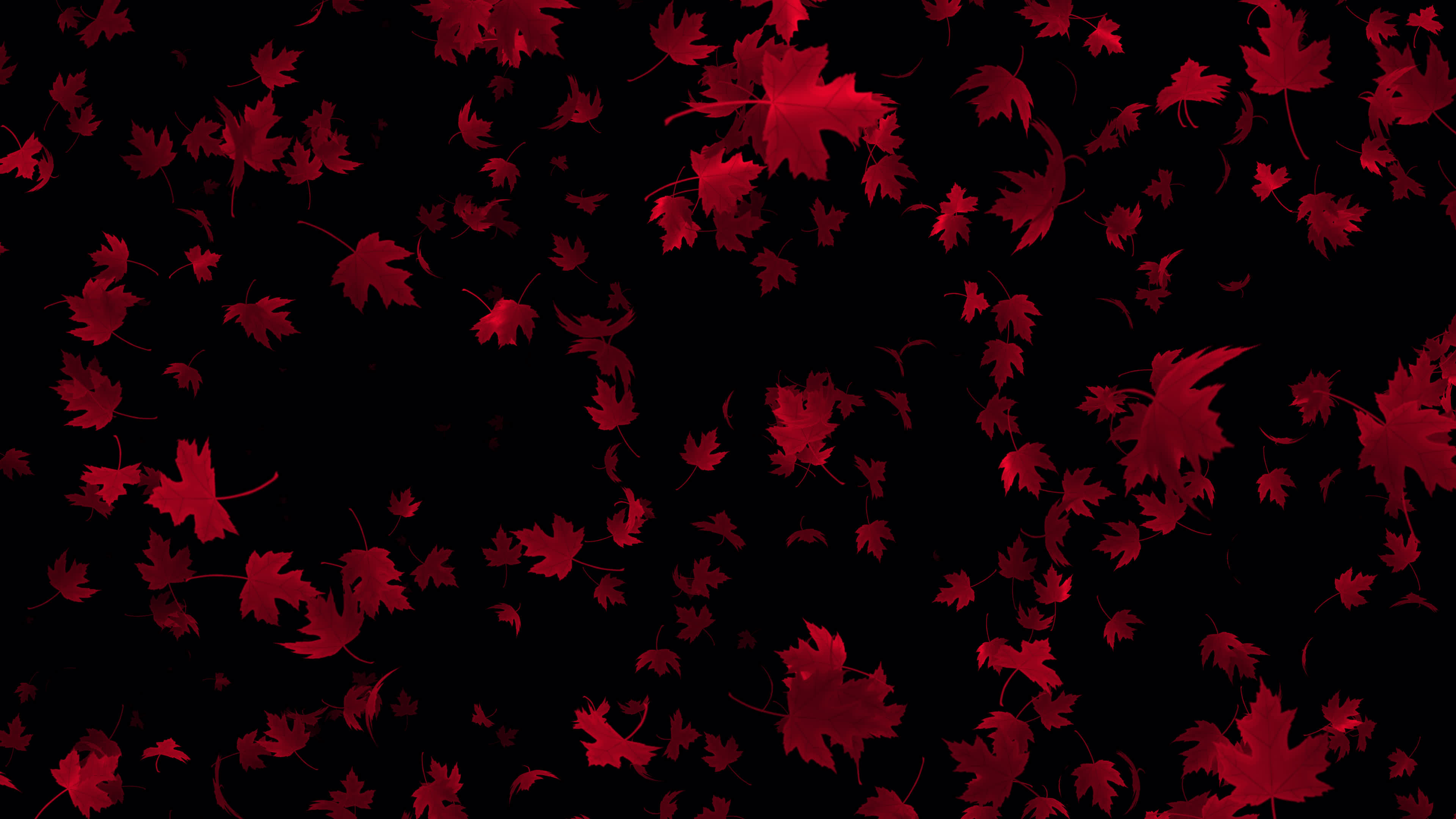 Beautiful Animation With Maple Leaves Leaves Falling Animation In 4k Ultra Hd Loop And