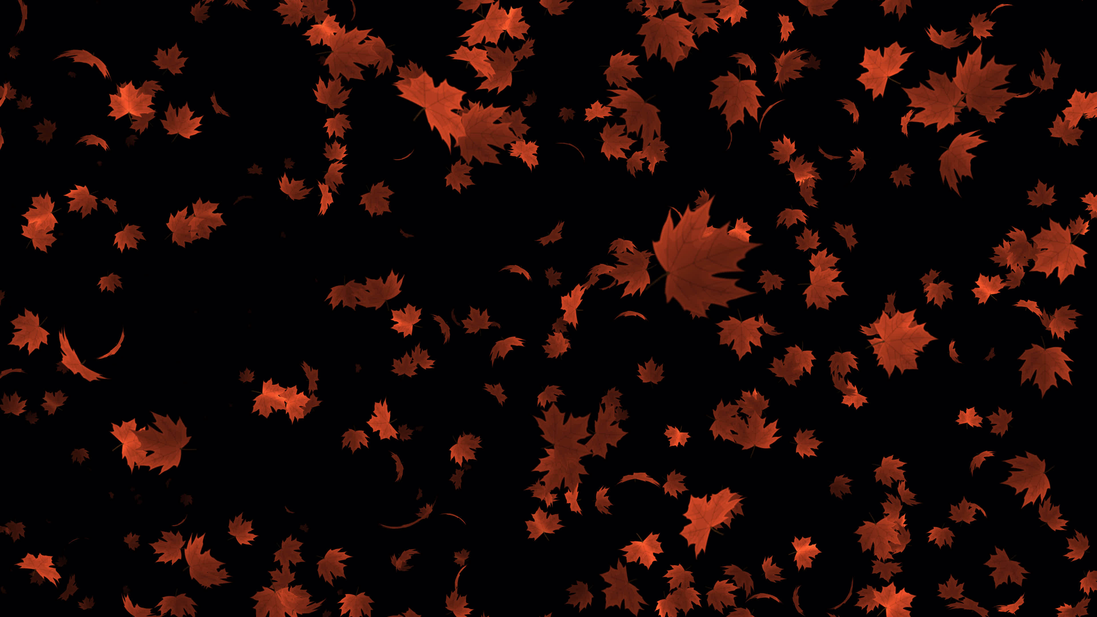 Beautiful Animation With Autumn Leaves Autumn Leaves Falling Animation In 4k Ultra Hd 20229417