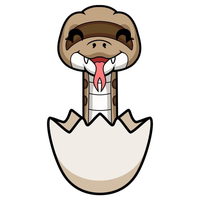 Snake Egg Vector Art, Icons, and Graphics for Free Download