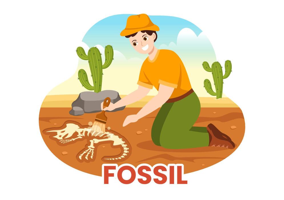Fossilization Vector Art, Icons, and Graphics for Free Download