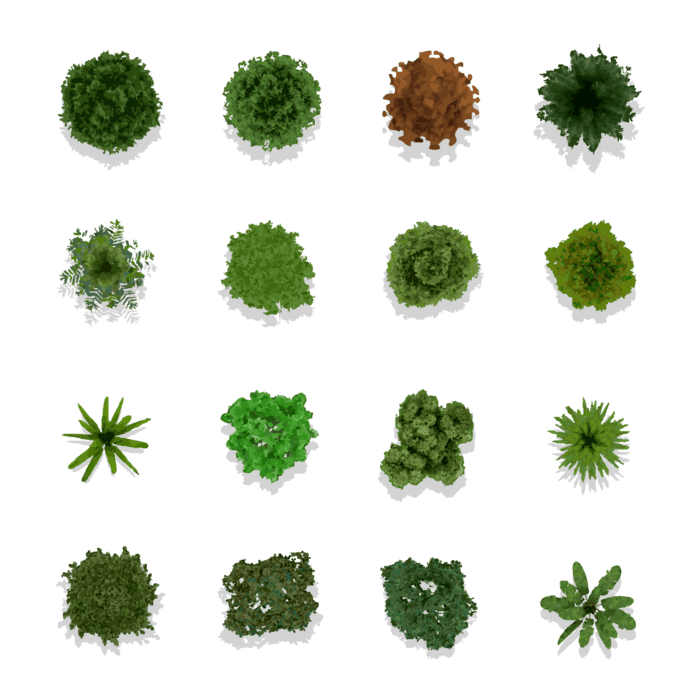Top View Plants PNGs for Free Download
