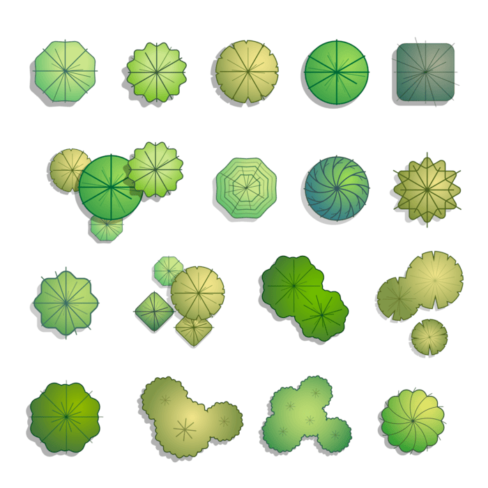 Tree Top View PNGs for Free Download