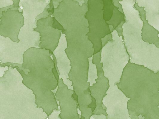 Sage Green Watercolor Stock Photos, Images and Backgrounds for Free ...