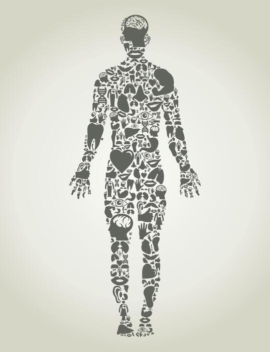 Human Body SVGs for Free Download