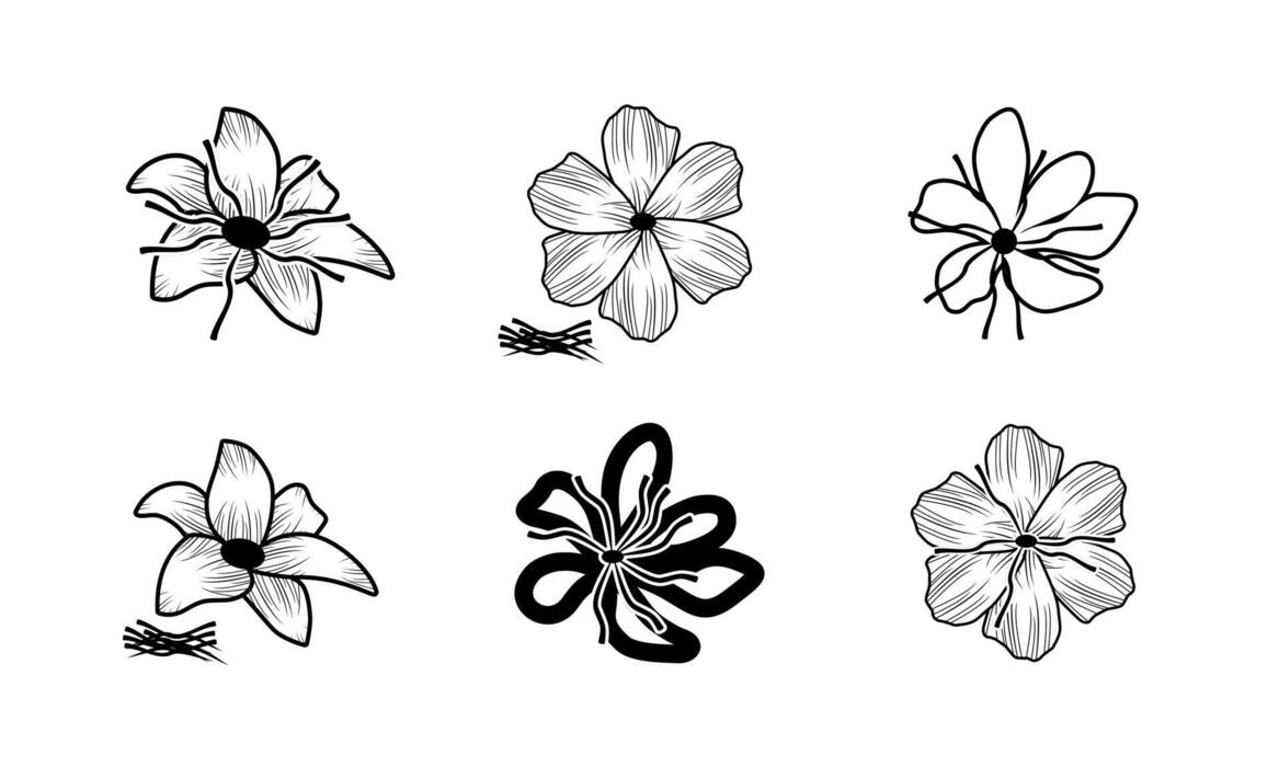 Black Line Flower Vector Art, Icons, and Graphics for Free Download