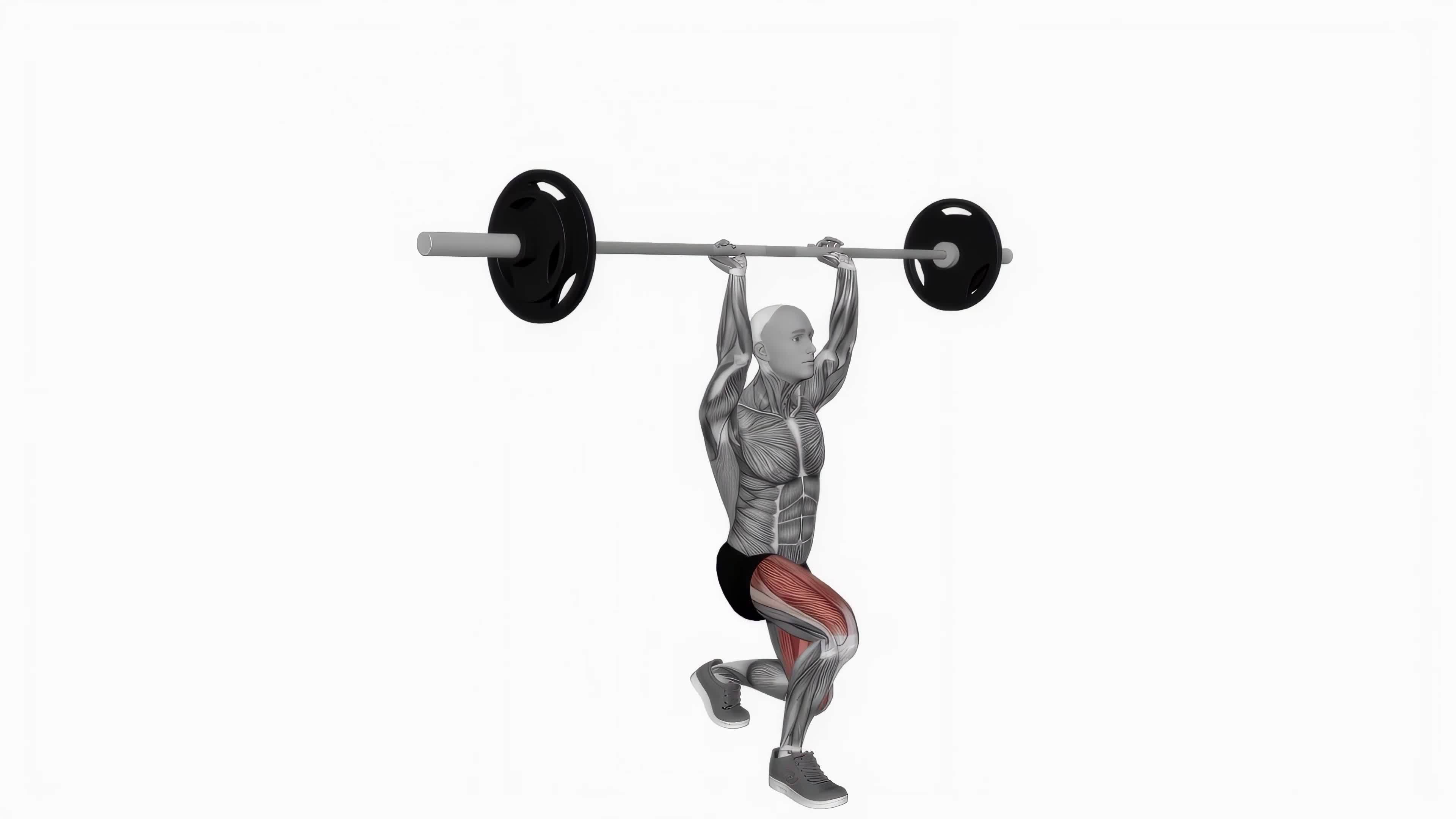 Barbell Overhead Lunge Fitness Exercise Workout Animation Video Male Muscle Highlight 4k 60 Fps 1630