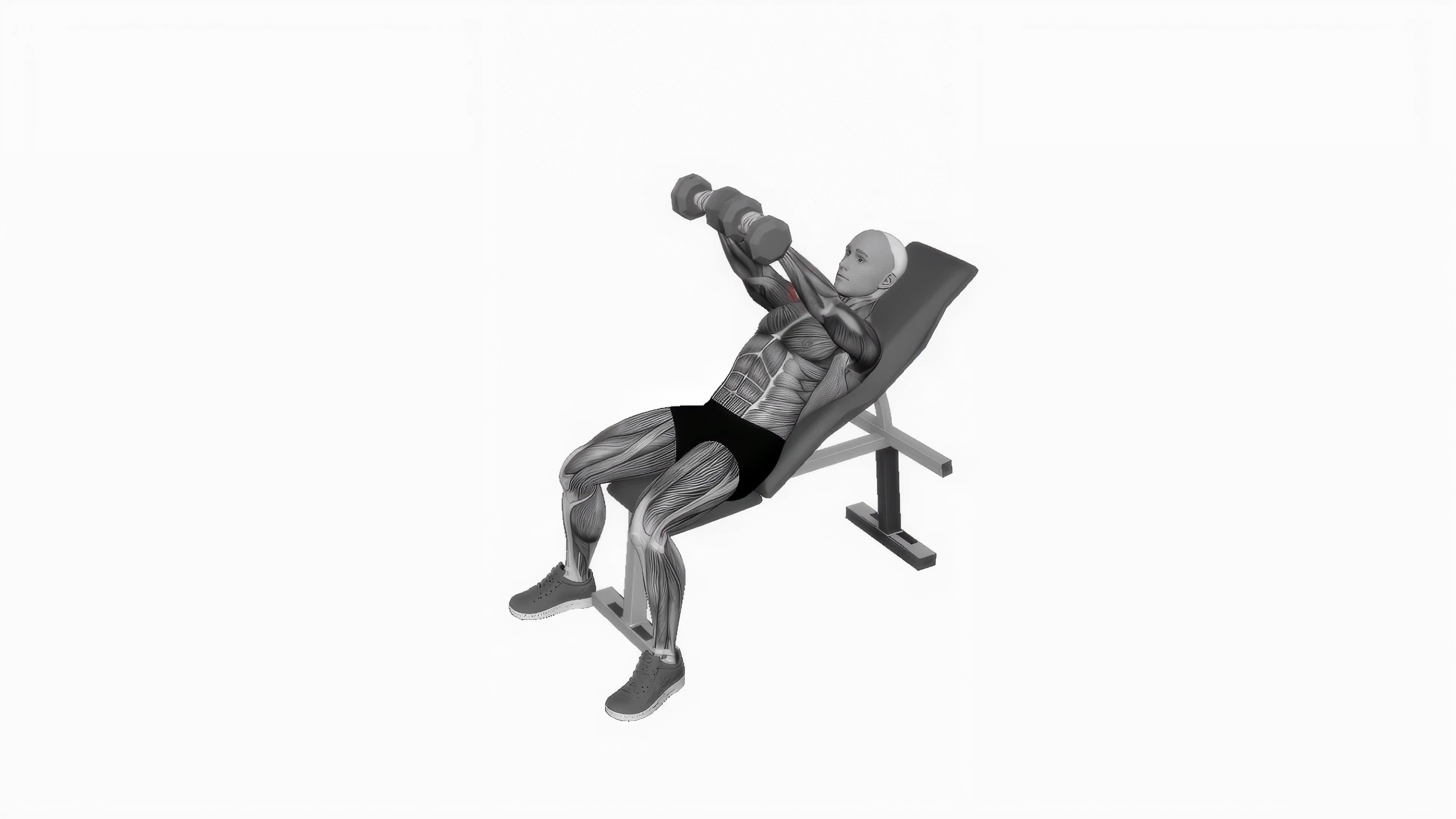 Dumbbell Incline Front Raise Fitness Exercise Workout Animation Video Male Muscle Highlight 4k