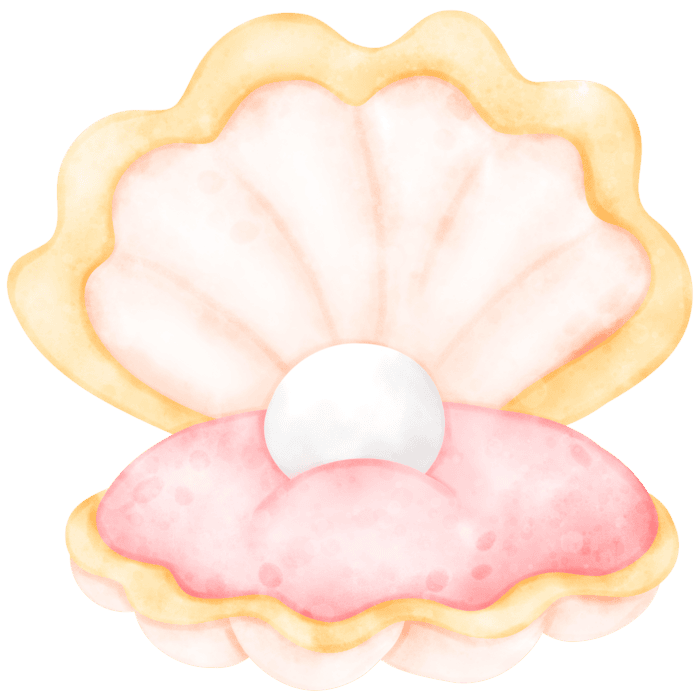 Pearl Shells PNGs for Free Download
