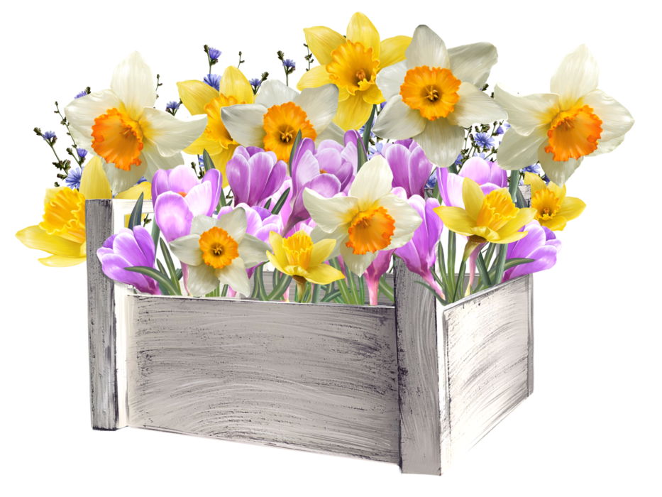 Spring PNGs for Free Download