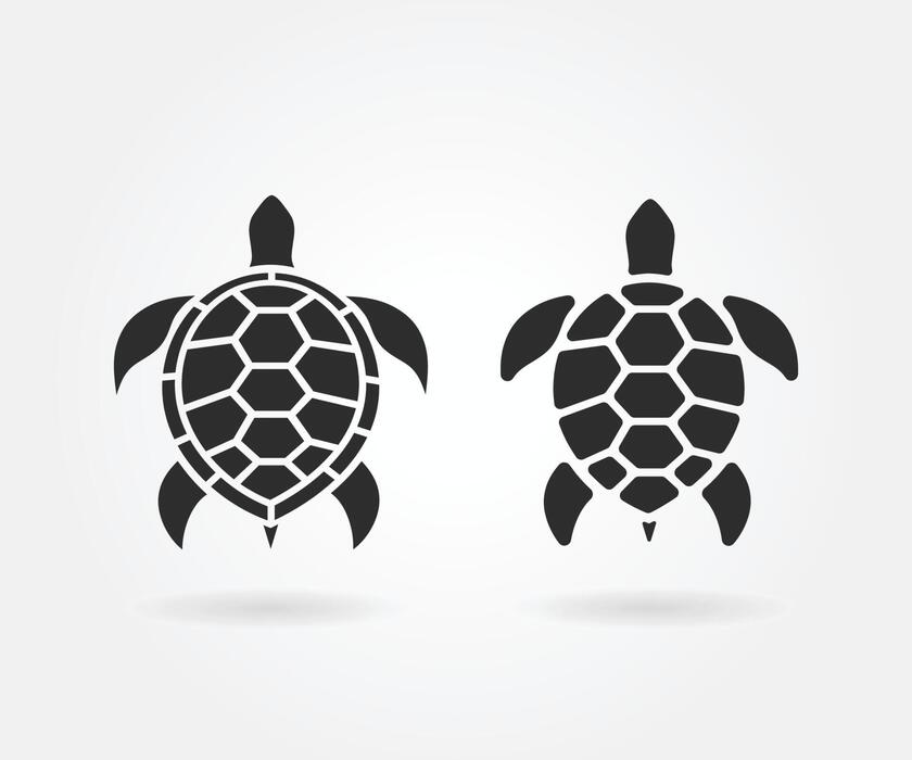 Turtle Icon Vector Art, Icons, and Graphics for Free Download
