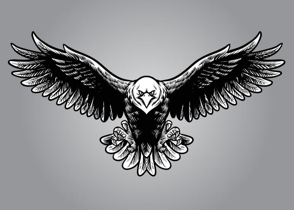 Simple Eagle Drawing Vector Art Icons And Graphics For Free Download
