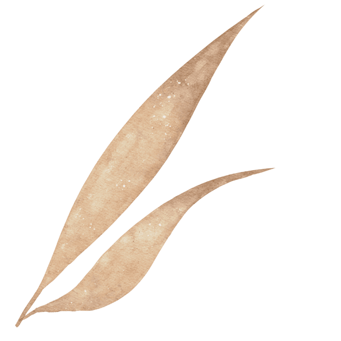 Eucalyptus Leaves Gold PNGs for Free Download