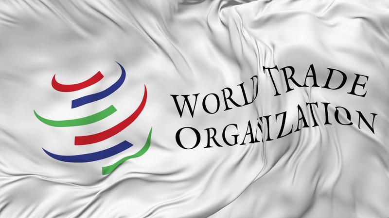 World Trade Organization Flag, WTO Flag Seamless Looping Background, Looped Bump Texture Cloth ...
