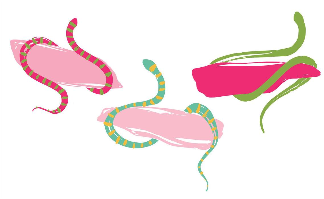 Snake Set Vector Art, Icons, and Graphics for Free Download