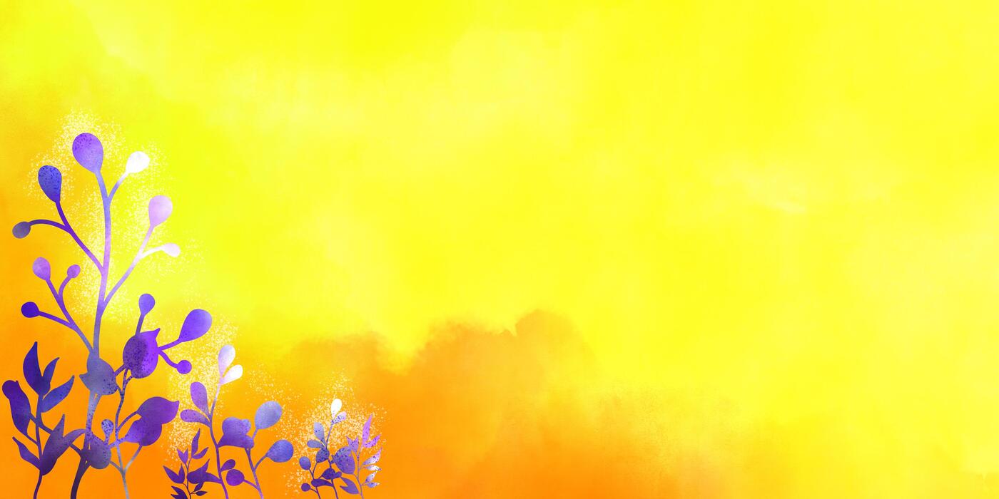 Haldi Background Stock Photos, Images and Backgrounds for Free Download