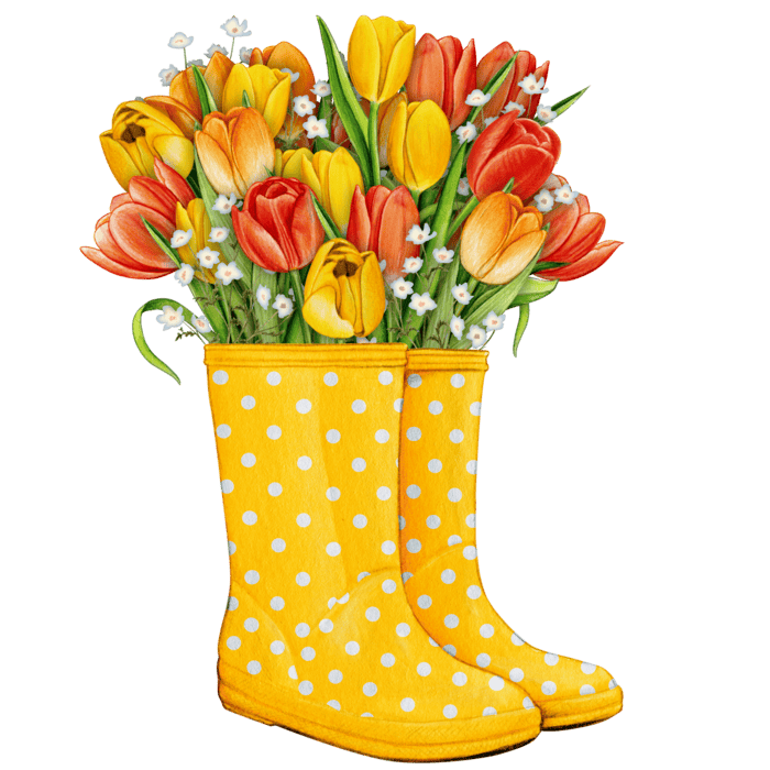 Spring Boot PNGs for Free Download