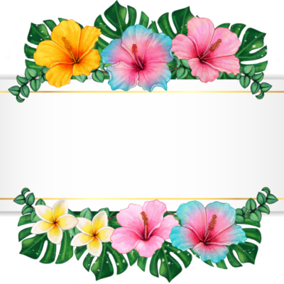 Tropical Flower Frame PNG Free Images With Transparent Background tropical-flower-frame-png-free-images-with-transparent-background