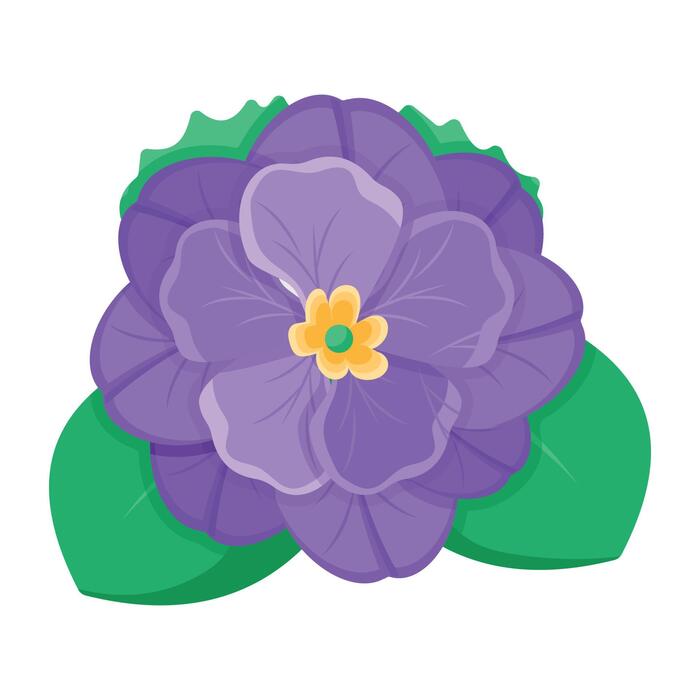 African Violet Vector Art, Icons, and Graphics for Free Download