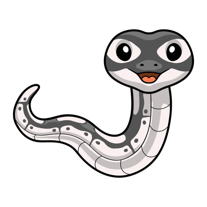 Page 5 | Ball Python Vector Art, Icons, and Graphics for Free Download