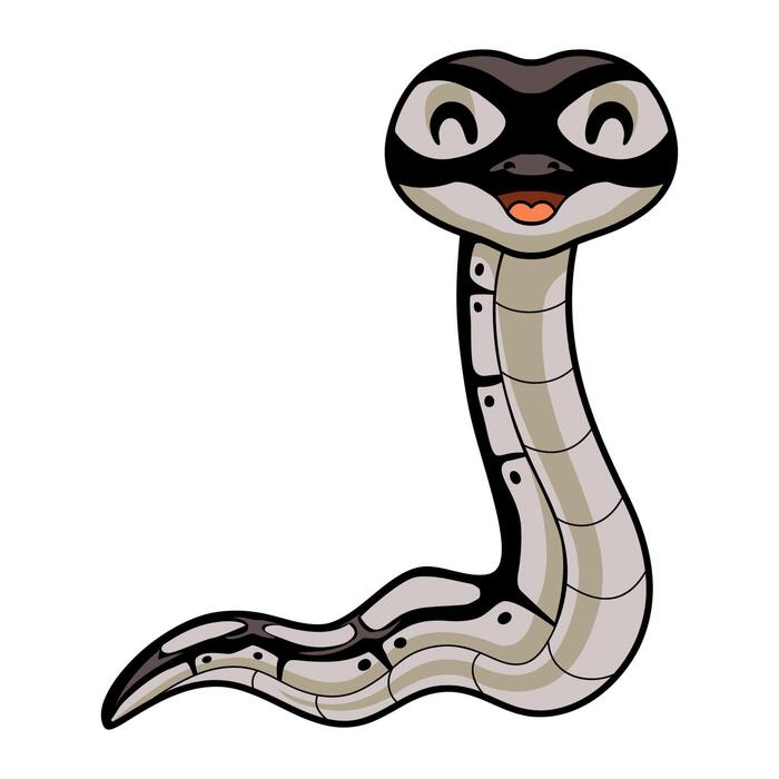 Boa Constrictor Vector Art, Icons, and Graphics for Free Download