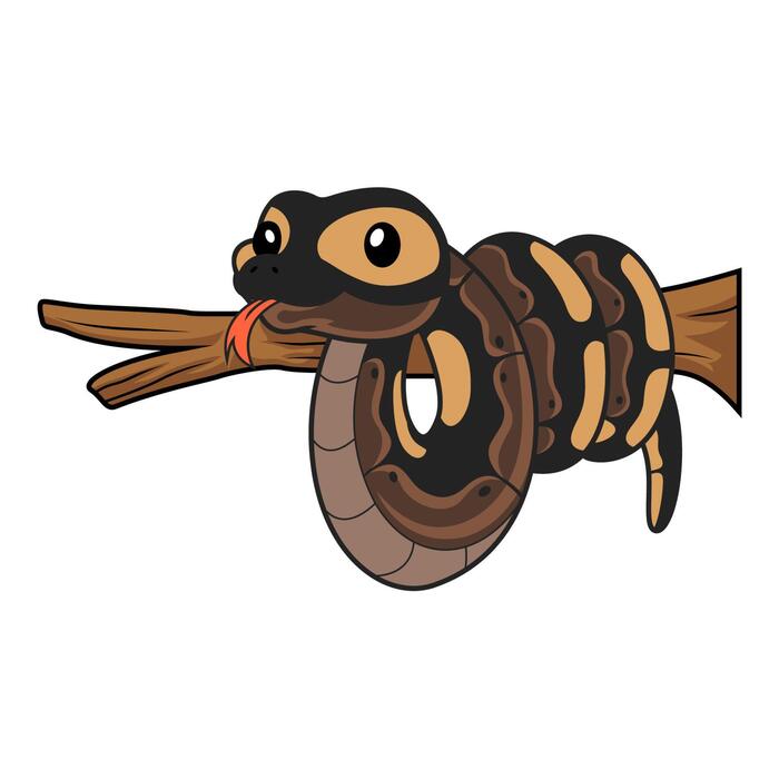 Python Vector Art, Icons, and Graphics for Free Download