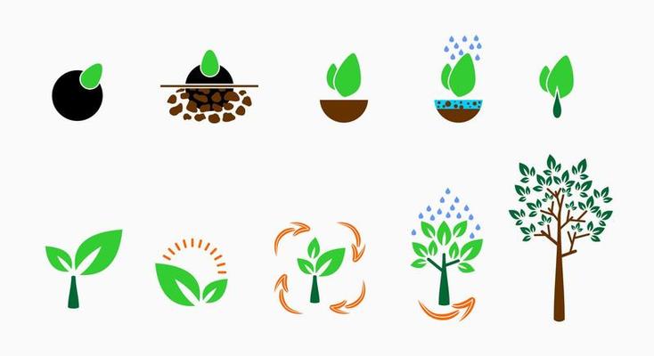 Plant Growth Icon Vector Art Icons And Graphics For Free Download