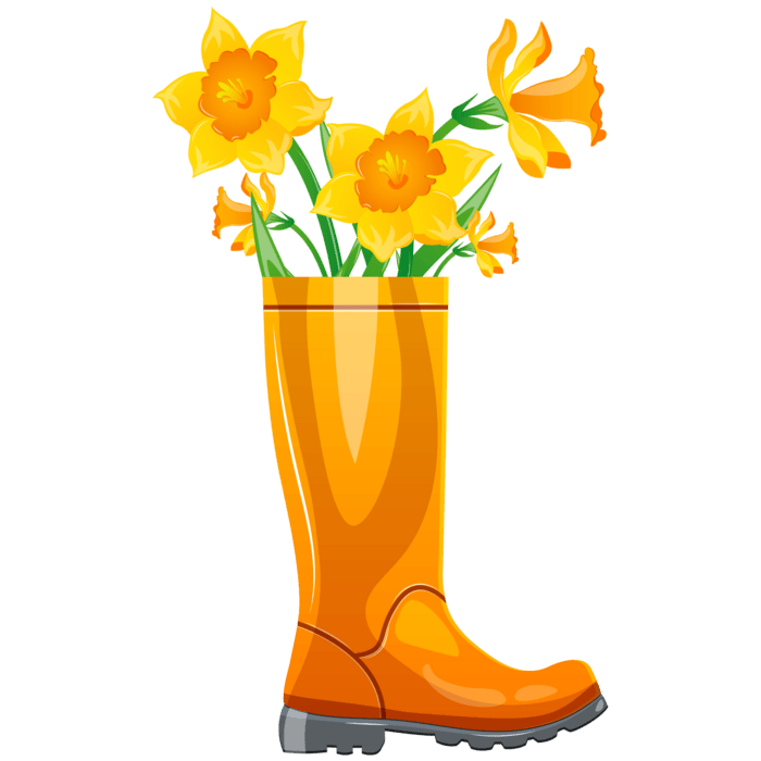 Spring Boot PNGs for Free Download