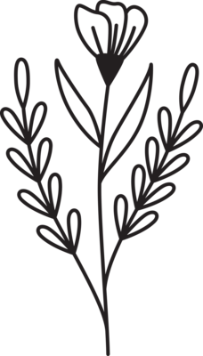 Black Flower PNGs for Free Download