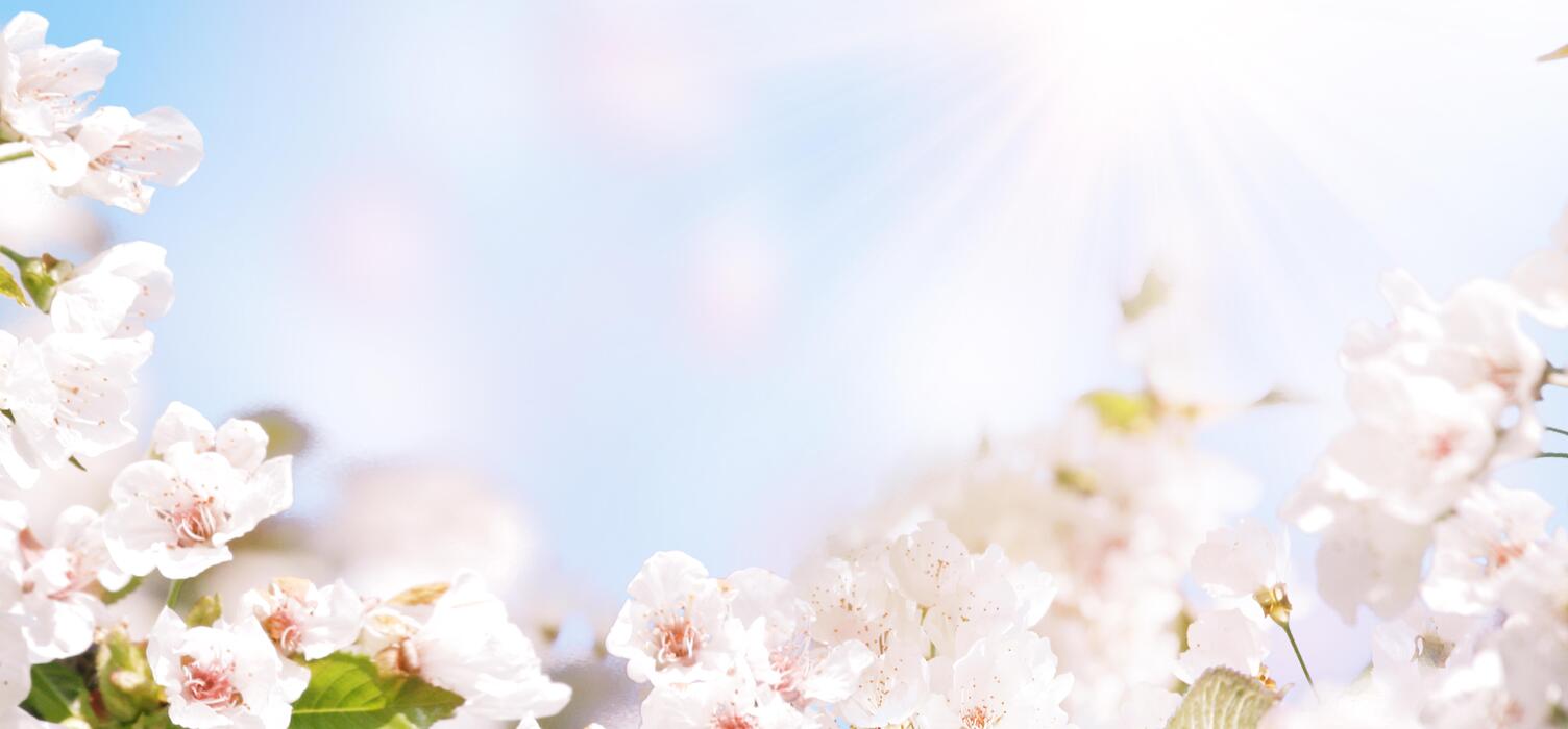 Spring Nature Background Stock Photos, Images and Backgrounds for Free ...
