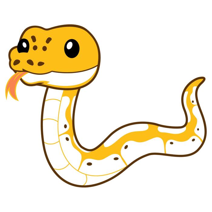 Ball Python Vector Art, Icons, and Graphics for Free Download