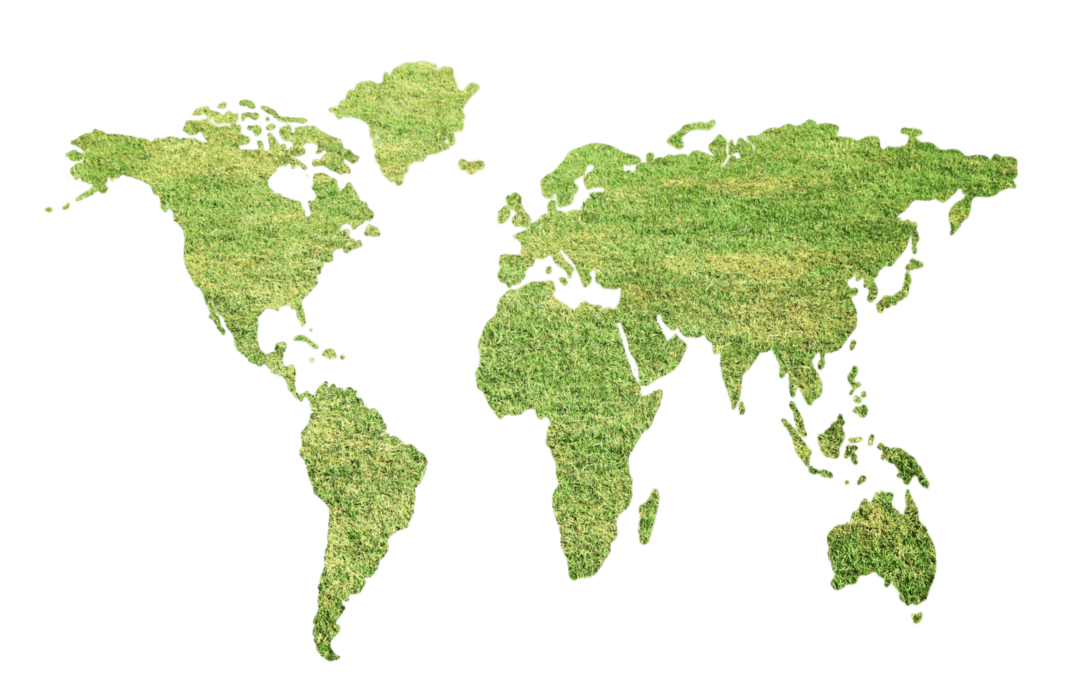 World Map Transparent PNGs for Free Download