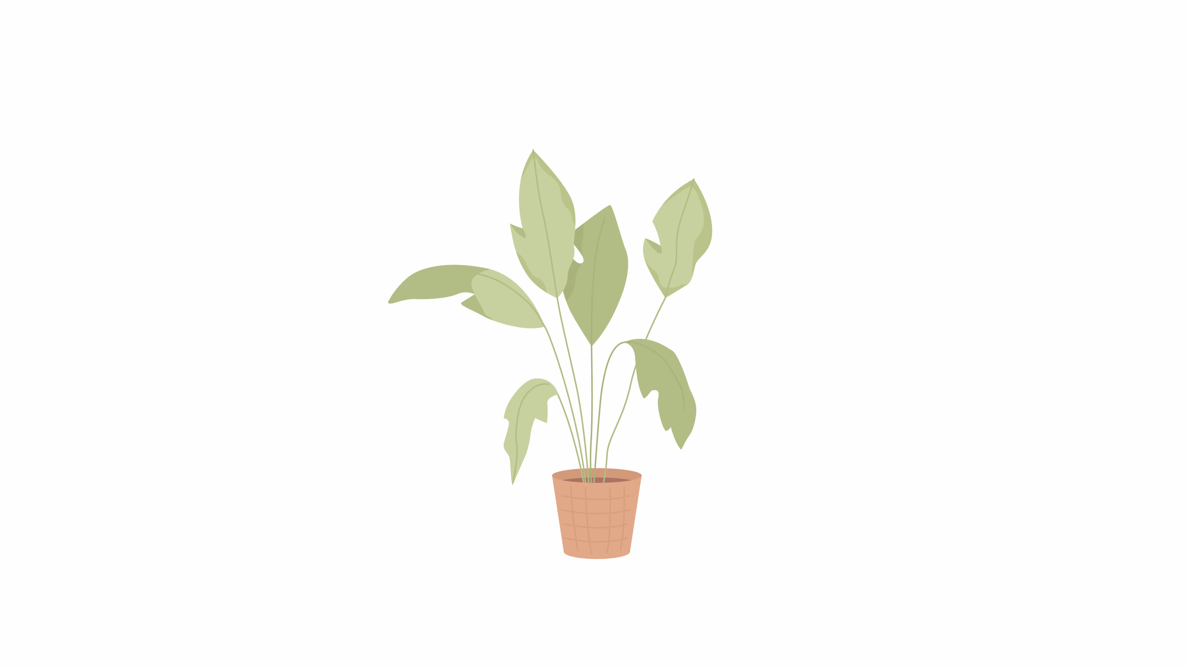Animated houseplant in pot. Indoor potted plant with monstera leaves ...