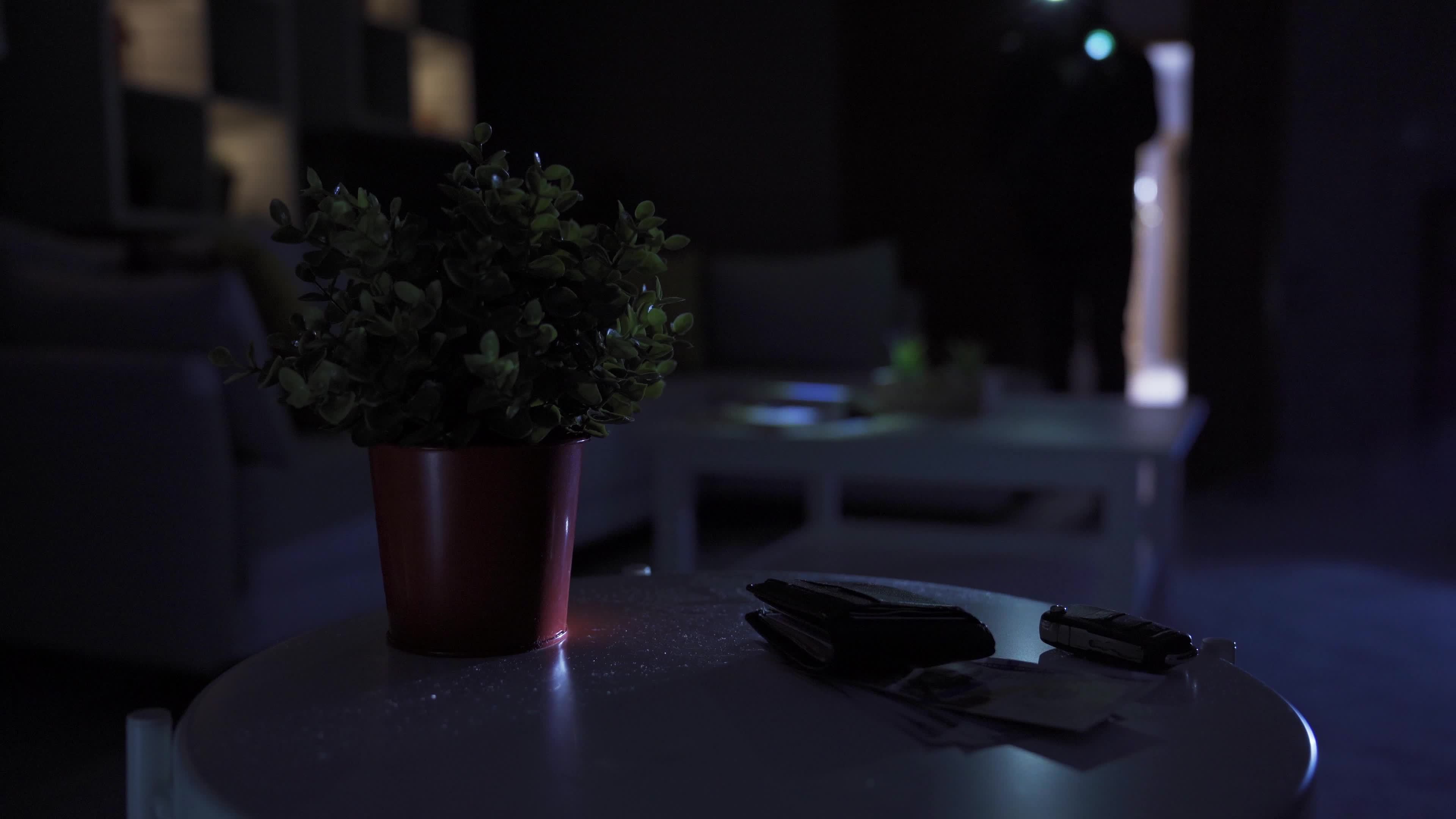 Stolen goods, Robbery. Stealing. Commit an offense. Thief with flashlight breaks into house and ...