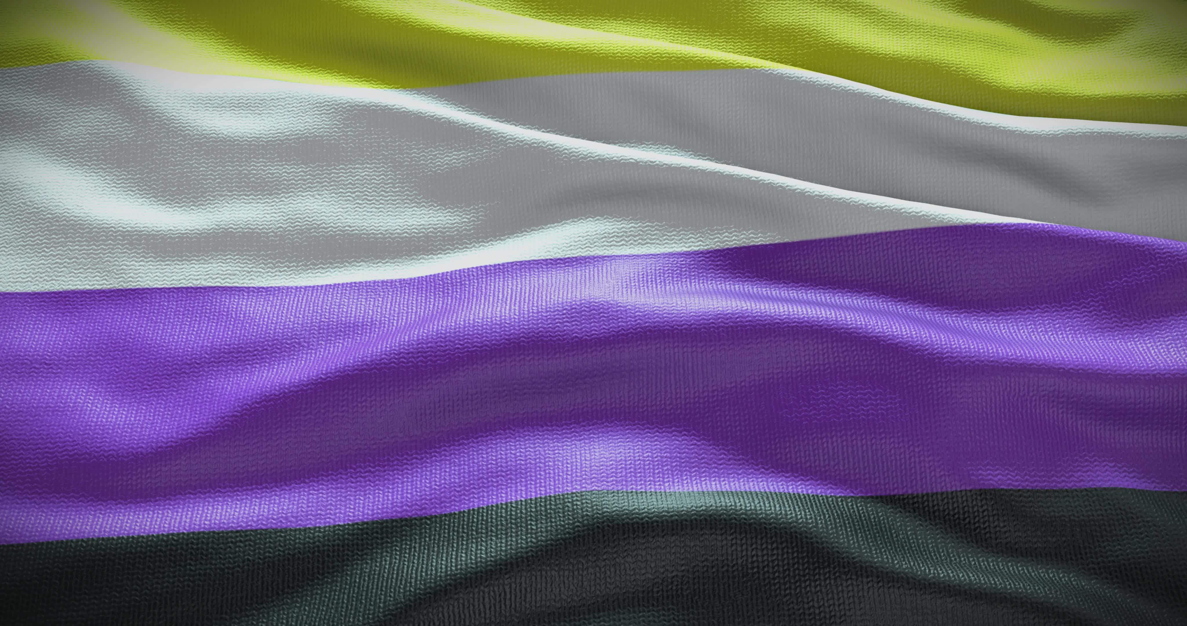 Non Binary Symbol Background Waving Flag 21736261 Stock Video At Vecteezy