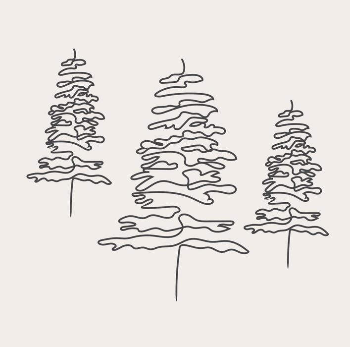 Pine Tree Line Drawing Vector Art, Icons, and Graphics for Free Download