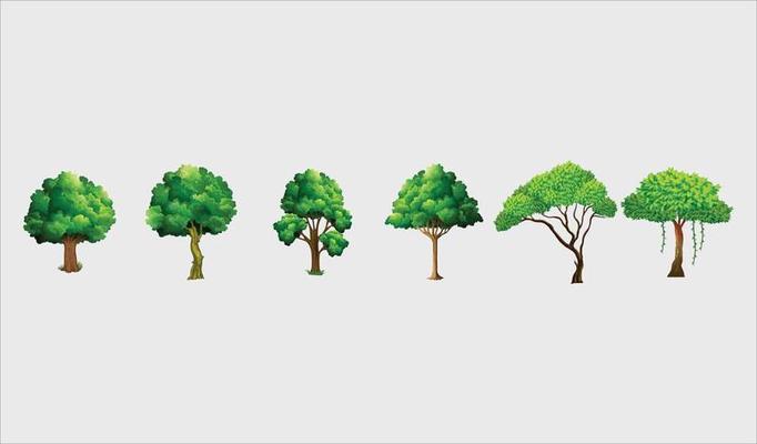 Tree Cdr Vector Art, Icons, and Graphics for Free Download