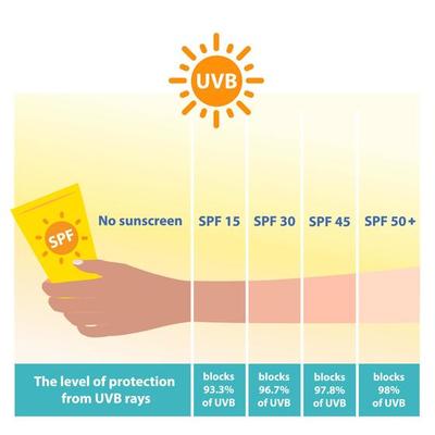 Spf sun protection factor store