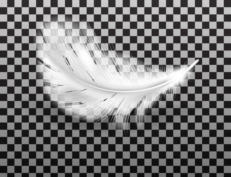 Feather Vector Art, Icons, and Graphics for Free Download