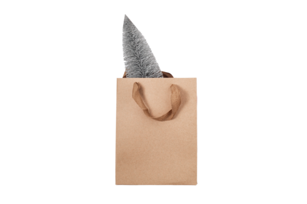 Shopping Bag Mockup Pngs For Free Download