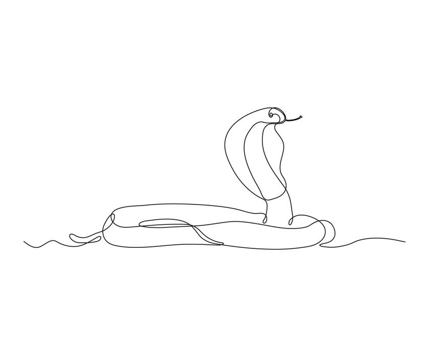 Snake Line Drawing Vector Art, Icons, and Graphics for Free Download