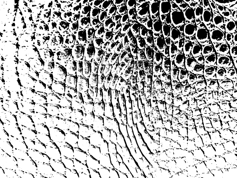 Skin Texture PNGs for Free Download