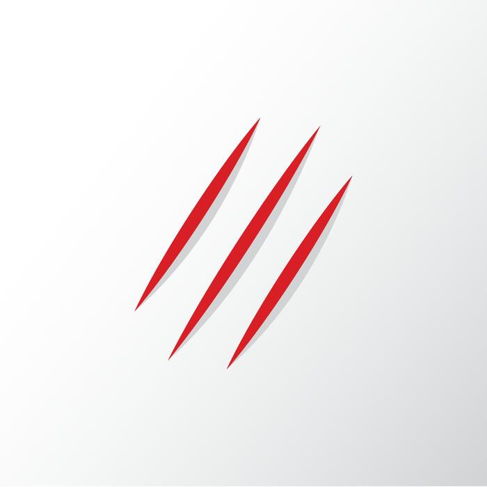 Bear Scratch Vector Art, Icons, and Graphics for Free Download